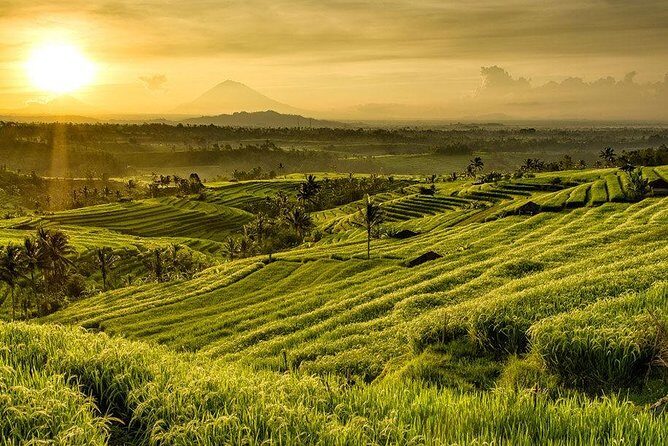 Full Day Tour of Tabanan - Key Points