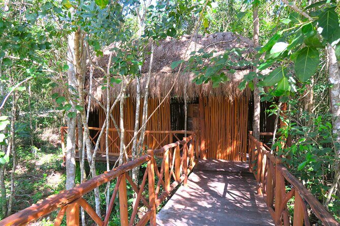Full-Day Tour of Tulum Ruins and Cenotes with Lunch - Final Thoughts: Who Is This Tour Best For?