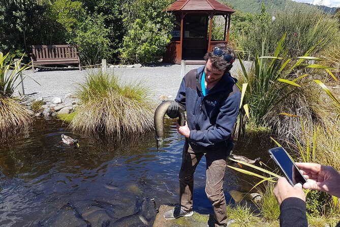 Full Day Tour of Wellington - The Sum Up: Who Is This Tour Best For?
