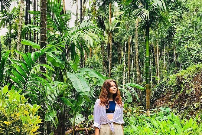 Full-Day Tour Old Goa Dudhsagar Falls and Spice Plantation - Spice Plantation Tour: Fragrant and Educational