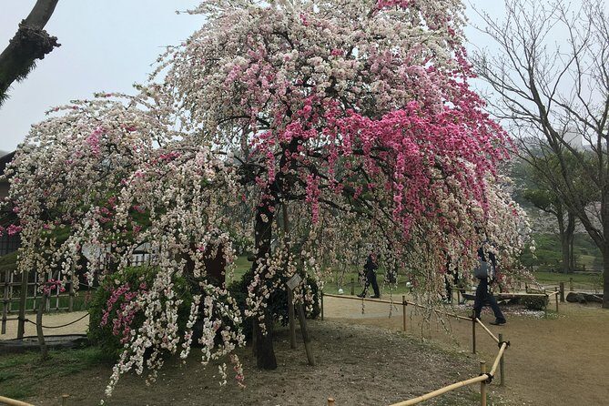 Full Day Tour on Your Arrangement - The Allure of a Fully Customizable Day