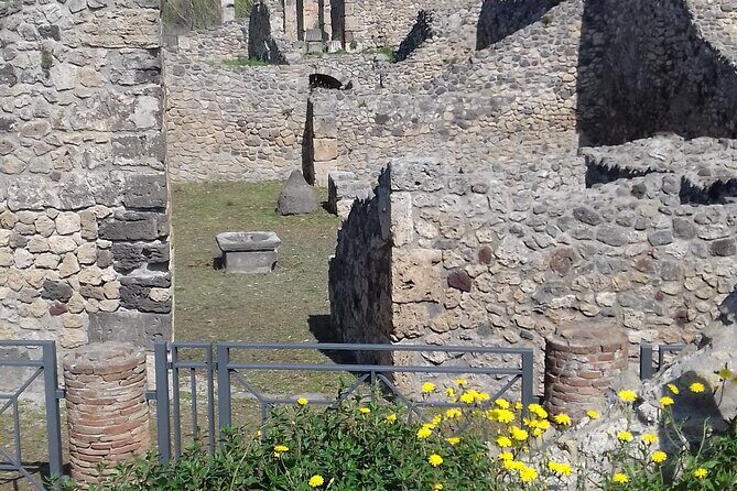 Full Day Tour PompeiiSorrento -Positano - Frequently Asked Questions