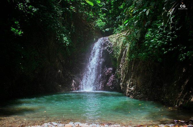 Full Day Tour - Popular Sites Grenada, Belmont Estate, Rain Forest and More - Transportation and Group Size