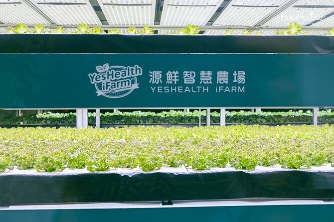 Full-Day Tour: Smart Agriculture & Baseball Tech Experience - Key Points