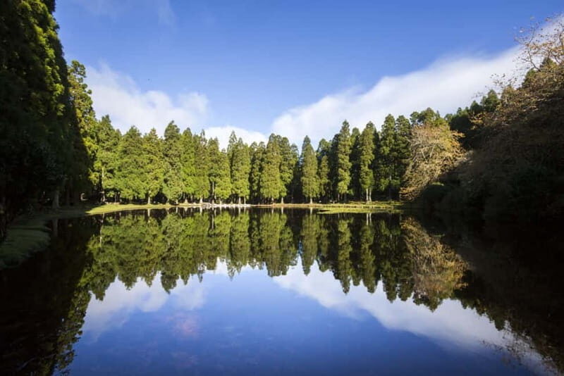 Full-day tour: The best of Terceira Island - A detailed look at the tour experience