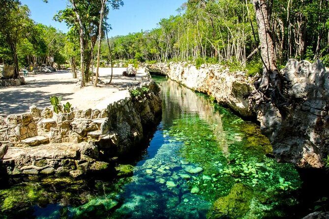 Full Day Tour to 5 Magical Cenotes in the Riviera Maya - Key Points
