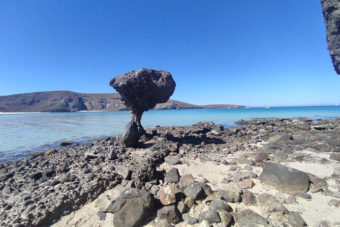 Full Day Tour to Balandra Beach, Todos Santos and La Paz - FAQs
