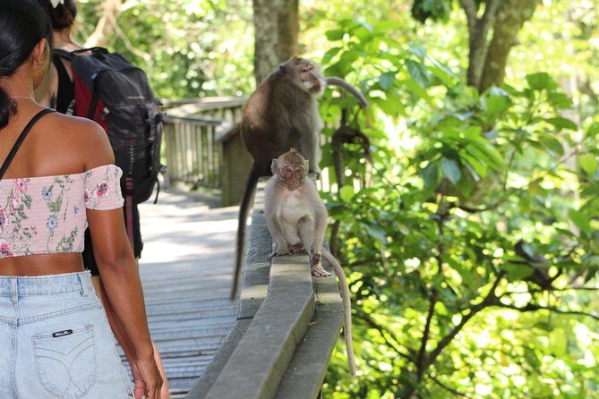 Full day Tour to Best of Ubud with jungle swing - The Benefits of Private Transportation and Guide