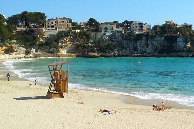 Full Day Tour to Caves of Drach and Hams with Porto Cristo and Pearl Factory - Who Should Consider This Tour?