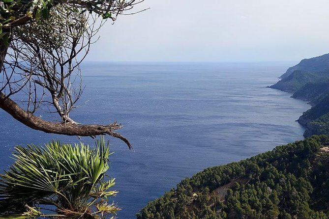 Full Day Tour to Caves of Drach and Hams with Porto Cristo and Pearl Factory - The Sum Up