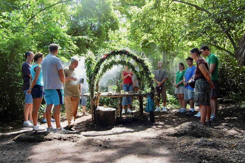 Full Day Tour to Cobá Ruins, Punta Laguna & Cenote - Final Thoughts: Who Will Appreciate This Tour?