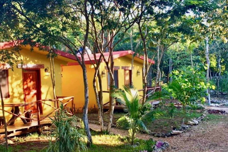 Full Day Tour to Cobá Ruins, Punta Laguna & Cenote - Frequently Asked Questions