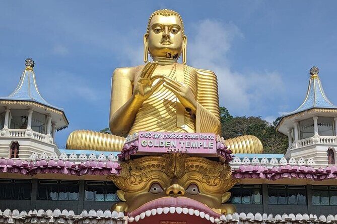 Full day tour to Dambulla, Sigiriya, Elephant Safari from Colombo - Introduction: What to Expect from This Full-Day Tour