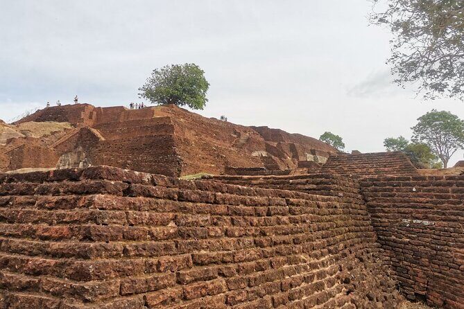 Full day tour to Dambulla, Sigiriya, Elephant Safari from Colombo - Authentic Experiences and Traveler Insights
