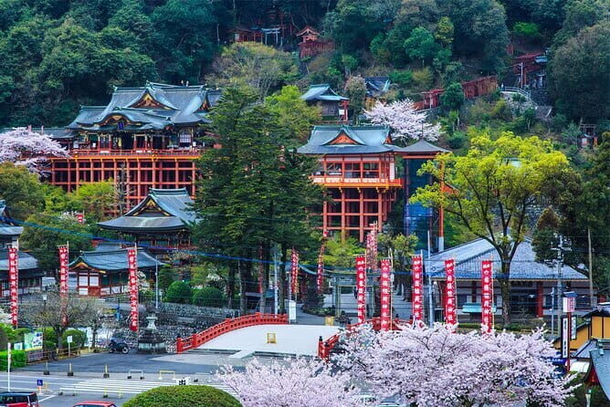 Full Day Tour to Dazaifu Tenmangu Yufuin Beppu Jigoku - Overall Value and Who Will Love It