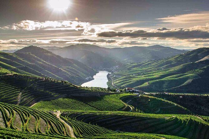 Full day Tour to Douro Valley from Porto - What Reviewers Are Saying