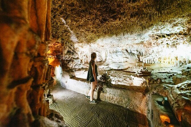 Full-day Tour to Drach Caves and Portocristo Town - Analyzing the Value