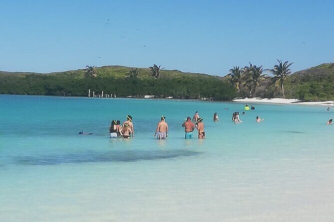 Full Day Tour to Isla Contoy and Isla Mujeres from Cancun - FAQs
