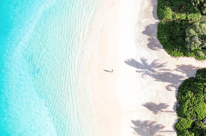 Full-Day Tour to Kailua Hawaii with Return Trip Shuttle - What Reviewers Are Saying
