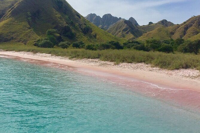 Full Day Tour to Komodo Island By Speed Boat to explore 6 destinations - Authentic Experiences & Real Traveler Feedback
