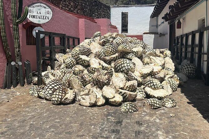 Full-Day Tour to La Fortaleza Distillery and Cantaritos - Authentic Tequila Day Trip: La Fortaleza Distillery & Cantaritos