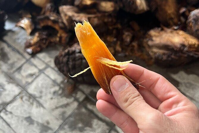 Full-Day Tour to La Fortaleza Distillery and Cantaritos - Final Thoughts