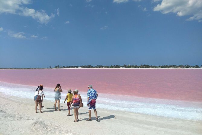 Full-Day Tour to Las Coloradas Pink Paradise in Yucatan and Rio Lagartos. - Introduction: Why Choose This Tour?