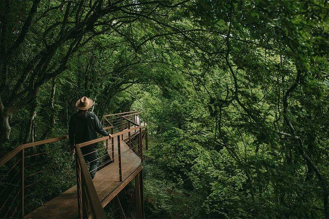 Full Day Tour to Martvili Canyon and Okatse Canyon - Key Points