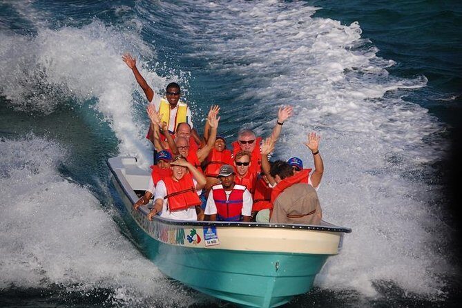 Full Day Tour to Paradise Island - Cayo Arena - The Detailed Experience: What You Can Expect