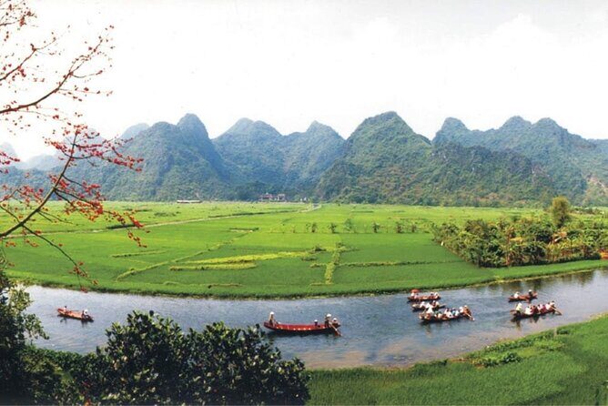 Full Day Tour to Perfume Pagoda with Traditional Boat Ride - Who Will Love This Experience