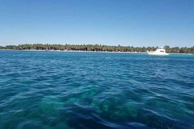 Full Day Tour to Saona Island by Catamaran and Speedboat - FAQ