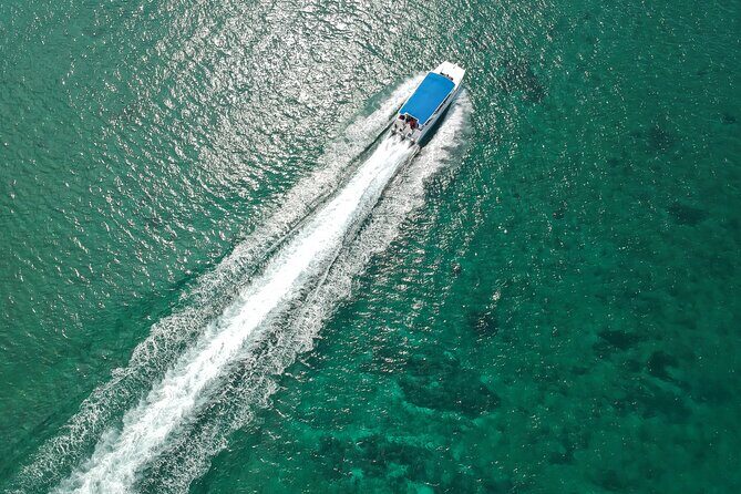 Full-Day Tour to Saona Island Sailing with Lunch and Beverages - The Itinerary in Detail