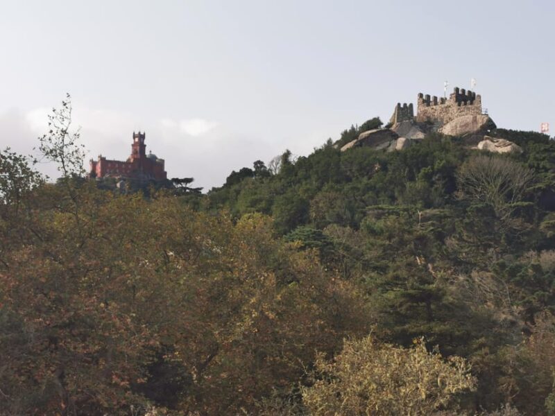 Full Day Tour to Sintra with Pena Palace and Quinta da Regaleira - Key Points