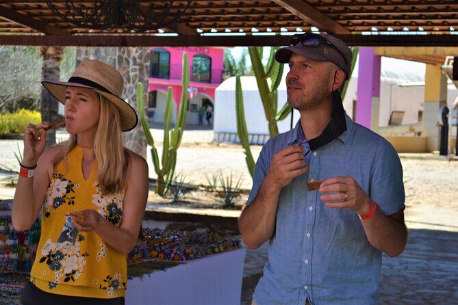 Full Day Tour to Tequila and Amatitan with Fun and Culture - Cost and Value