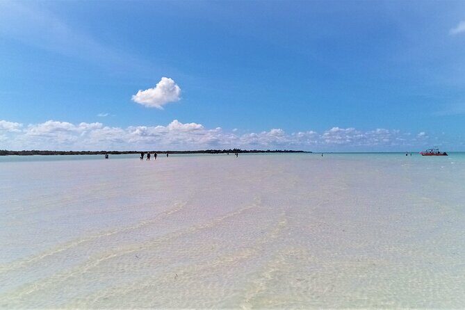 Full Day Tour to the Best of Holbox - Looking at the Value: Is the Tour Worth It?