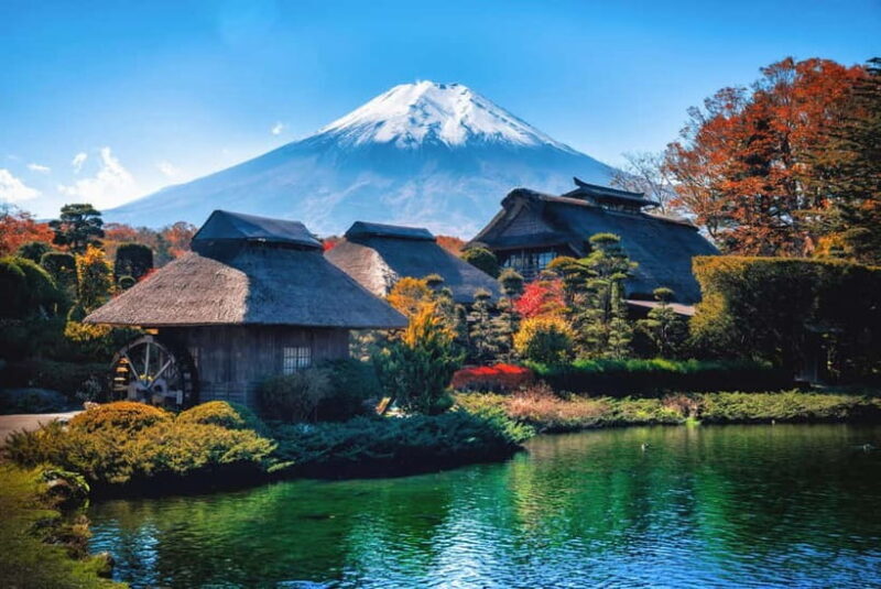 Full-Day Tour to the Picturesque Spots of Mount Fuji - An In-Depth Review of the Mount Fuji Full-Day Tour