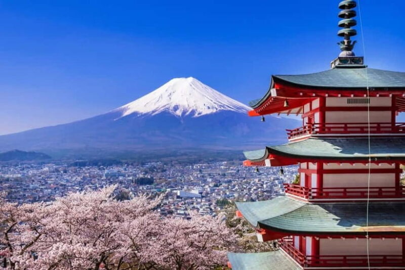 Full-Day Tour to the Picturesque Spots of Mount Fuji - The Sum Up