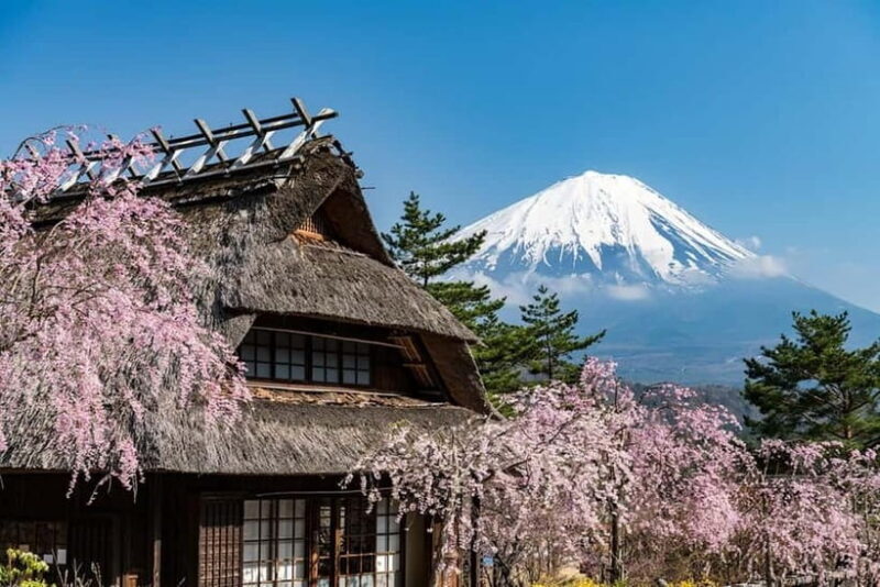 Full-Day Tour to the Picturesque Spots of Mount Fuji - FAQ
