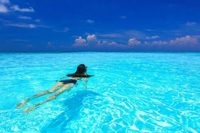 Full-day Tour to the Similan Islands by Speedboat from Khao Lak - What the Reviews Say: Pros and Cons