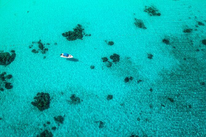 Full-day Tour to the Similan Islands by Speedboat from Khao Lak - Summary: Is This Tour for You?