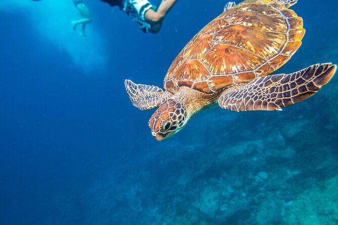 Full-day Tour to the Similan Islands by Speedboat from Khao Lak - FAQ