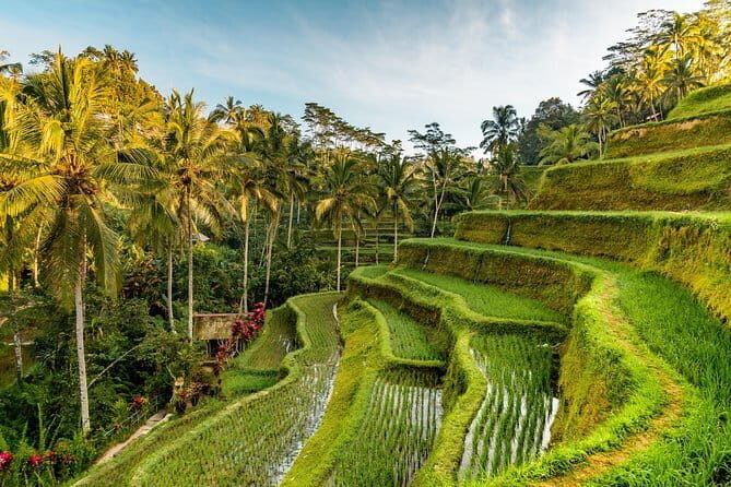 Full Day Tour to Water Temples UNESCO Rice Terraces in Bali - FAQ