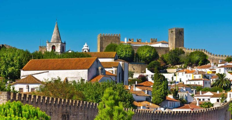 Full Day Tour - Transfer to Porto from Lisbon with Stops - Authentic Experiences and Local Flair