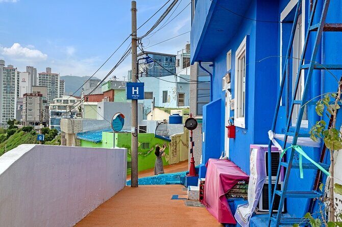 Full-Day Tour Unmissable things to do in Busan - Who Should Take This Tour?