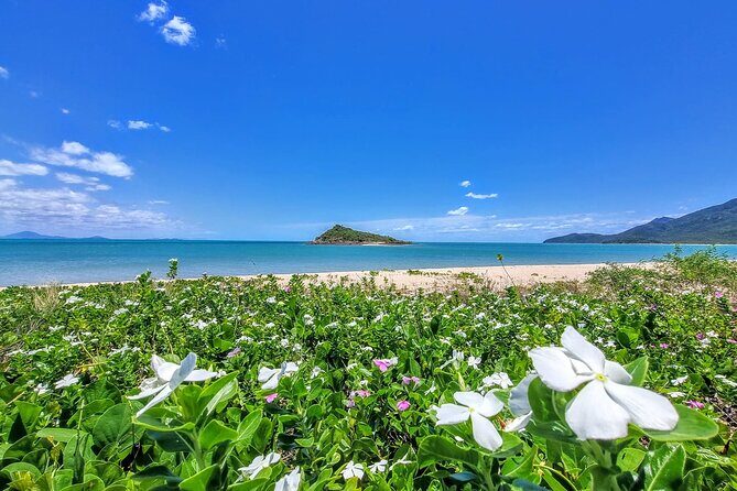 Full-Day Tour Whitsunday Waterfalls Hinterland and secluded beaches - Who Would Enjoy This Tour?