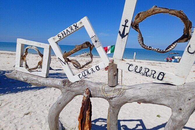 Full Day Tour with Fishing and Snorkeling from Holbox - Final Thoughts