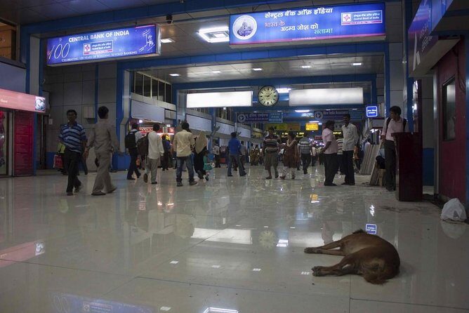 Full Day Tour with Guide, Bollywood Dance, Lunch & Spice Market - Key Points