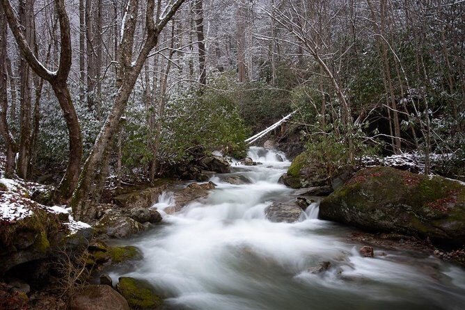 Full-Day Tour With Instruction in Vistas & Waterfall Photography - The Sum Up