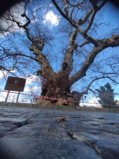 Full-Day Tour:Knossos Palace,Zeus Cave & Lassithi Plateau - The Mythical Cave of Zeus: Natural Beauty and Mythology