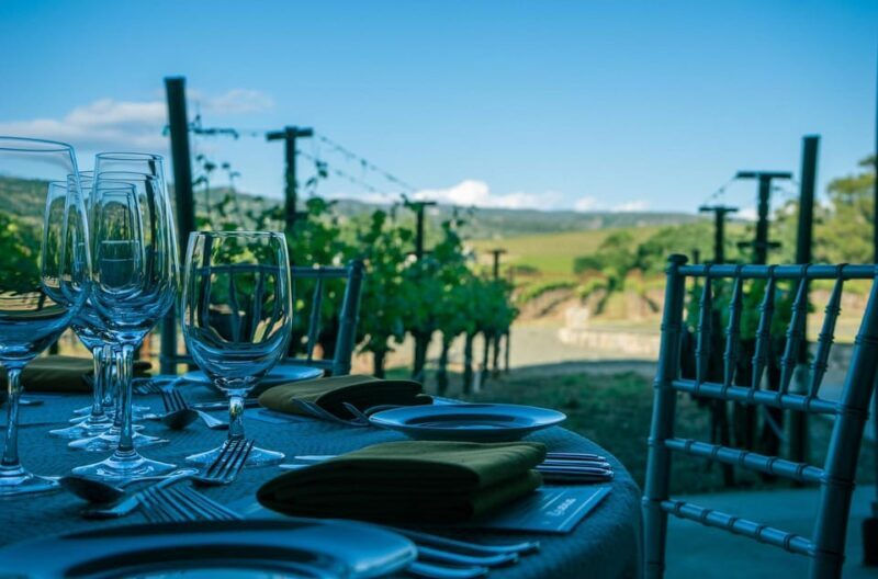 Full day tour:Knossos,Koronekes Olive mill,Lyrarakis winery - The Sum Up